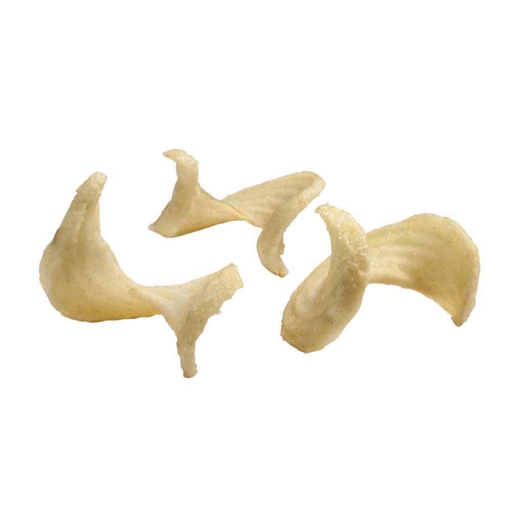 FRENCH FRIES, SIDEWINDERS, CONQUEST - Feeser's