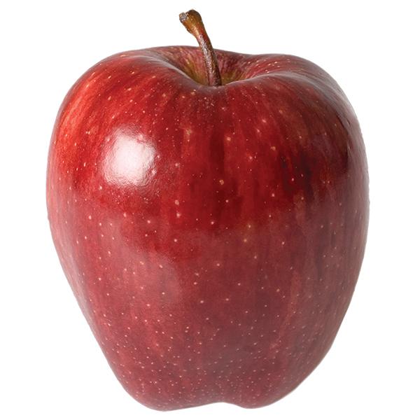 APPLE, RED, DEL, X-FANCY, 113-125CT - Feeser's